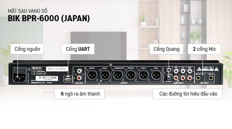 Vang số là gì? Chức năng của vang số trong bộ dàn karaoke